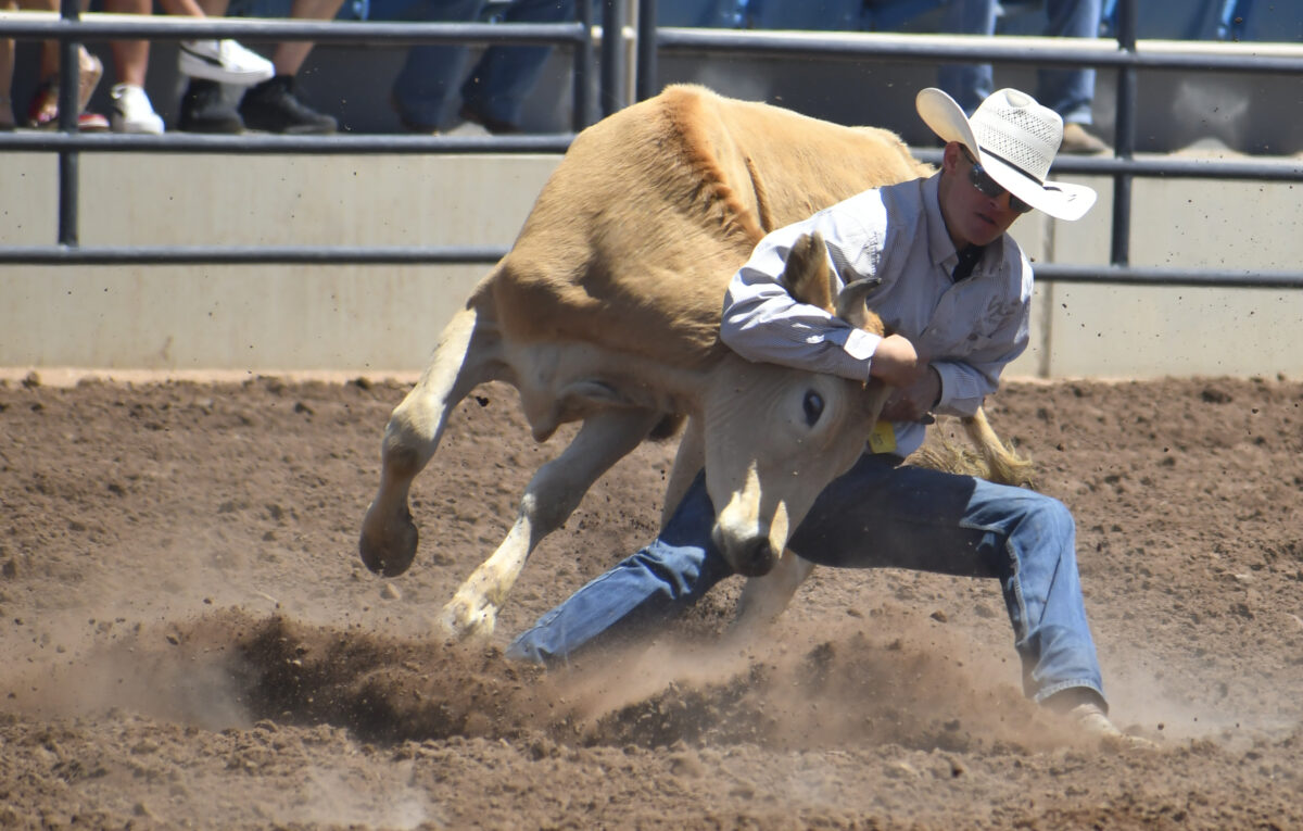 LLOYD: High school rodeo highlights toughness and kindness despite ...